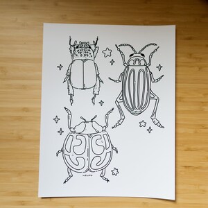 Funky Beetles Coloring Page - Etsy