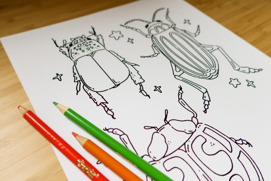 Funky Beetles Coloring Page - Etsy