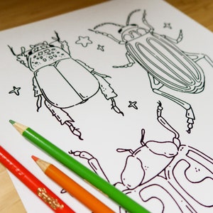 Funky Beetles Coloring Page - Etsy