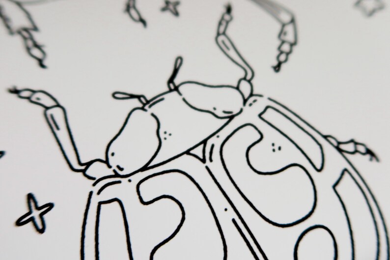 Funky Beetles Coloring Page - Etsy