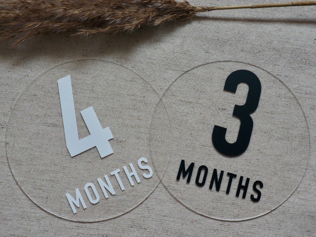 Milestone Discs in English With Number Milestone Baby Birth Year Birth ...