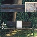 Wood Frame Mockup Outdoor Nature Mockup Digital Print Mockup Frame in ...