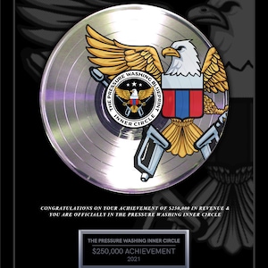 REAL VINYL RECORD Deluxe Personalized Platinum Record Award, 18" X 22 ...