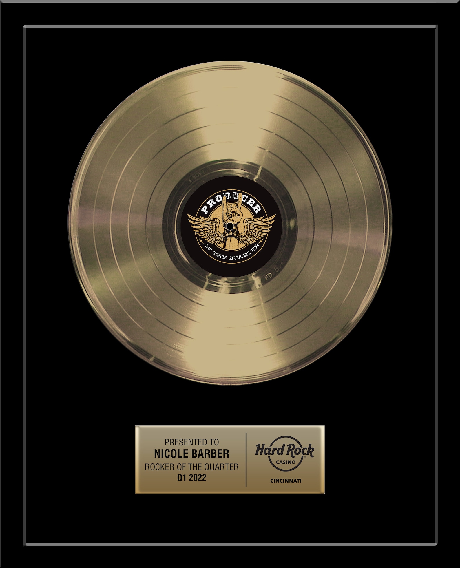 REAL VINYL RECORD Gold Record Award, 18" X 22" Wood Framed Record Award ...