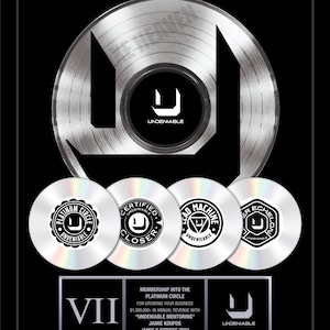 REAL RECORD Custom Platinum Record & CD Award 18" X 22" Framed Award ...