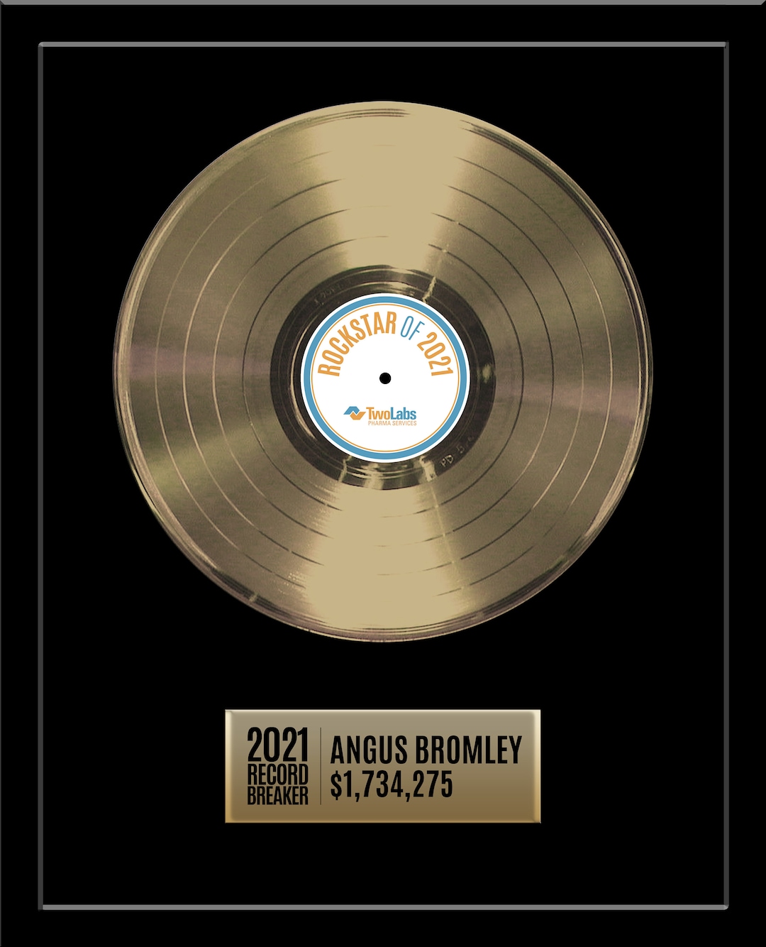 REAL VINYL RECORD Gold Record Award, 18" X 22" Wood Framed Record Award ...