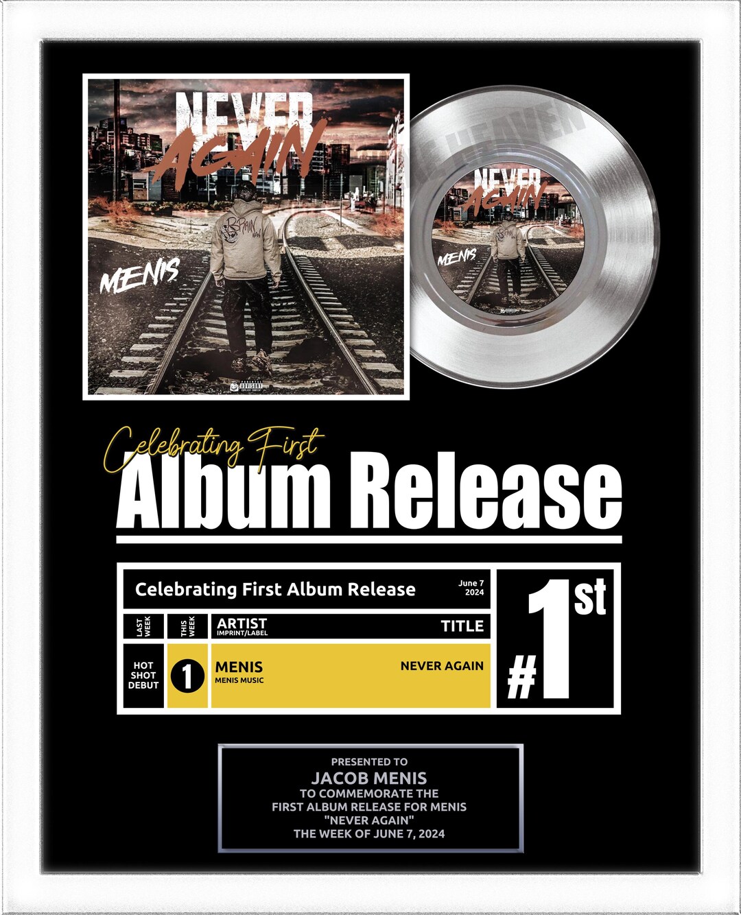 REAL VINYL RECORD First Album Release Platinum Record Award - Great ...