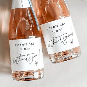 Bridesmaid Proposal Stickers, Bridesmaid Champagne Bottle Lablels, Hen ...