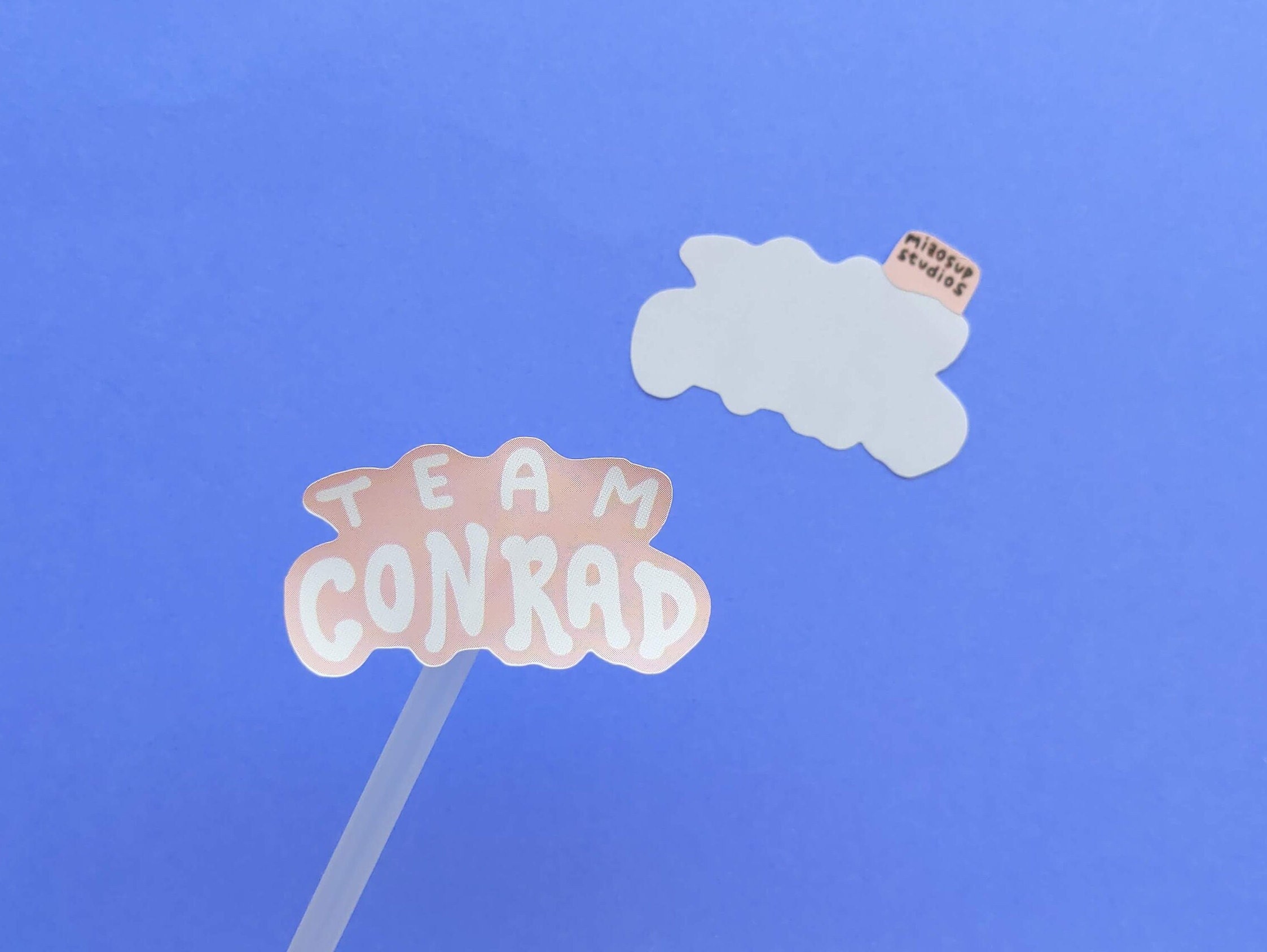 Team Conrad pastel Sticker Pack 3 Pcs / Danish Pastel / - Etsy