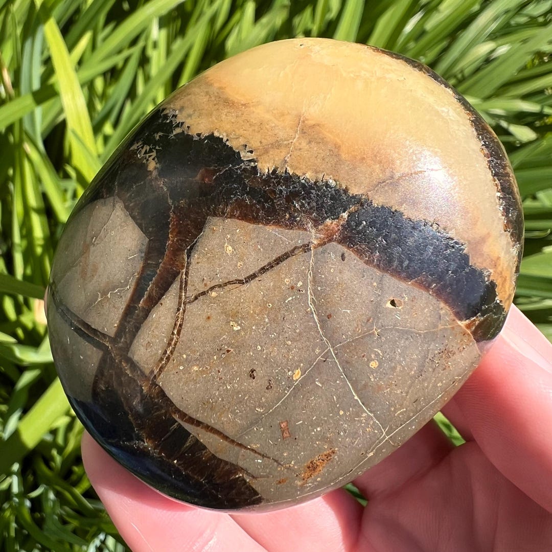 Septarian Palm Stone - Septarian Dragon Stone Crystal - UV Reactive ...