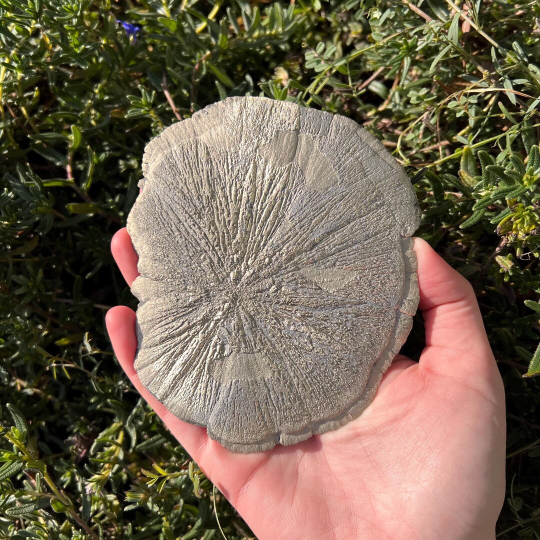 Pyrite Sun - Pyrite Sun Sparta Illinois - Pyrite Crystal - Solar Plexus ...