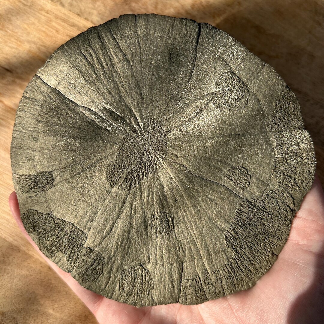 Pyrite Sun - Pyrite Sun Sparta Illinois - Pyrite Crystal - Solar Plexus ...