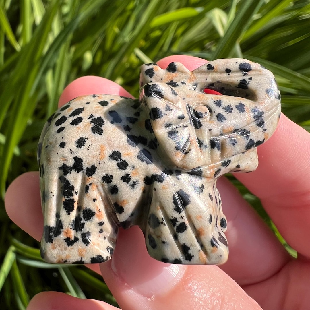 Dalmatian Jasper Elephant Carving: Root Chakra Crystal Decor - Etsy