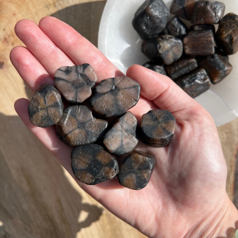 Chiastolite - Etsy