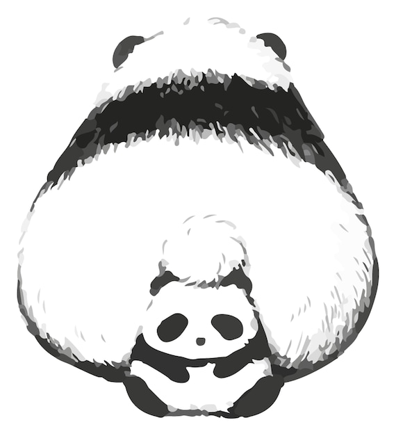How To Draw A Realistic Panda Step By Step