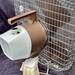 Vintage Desk Fan Rare Find Early 70s Xpelair-taurus Retro Room Fan ...