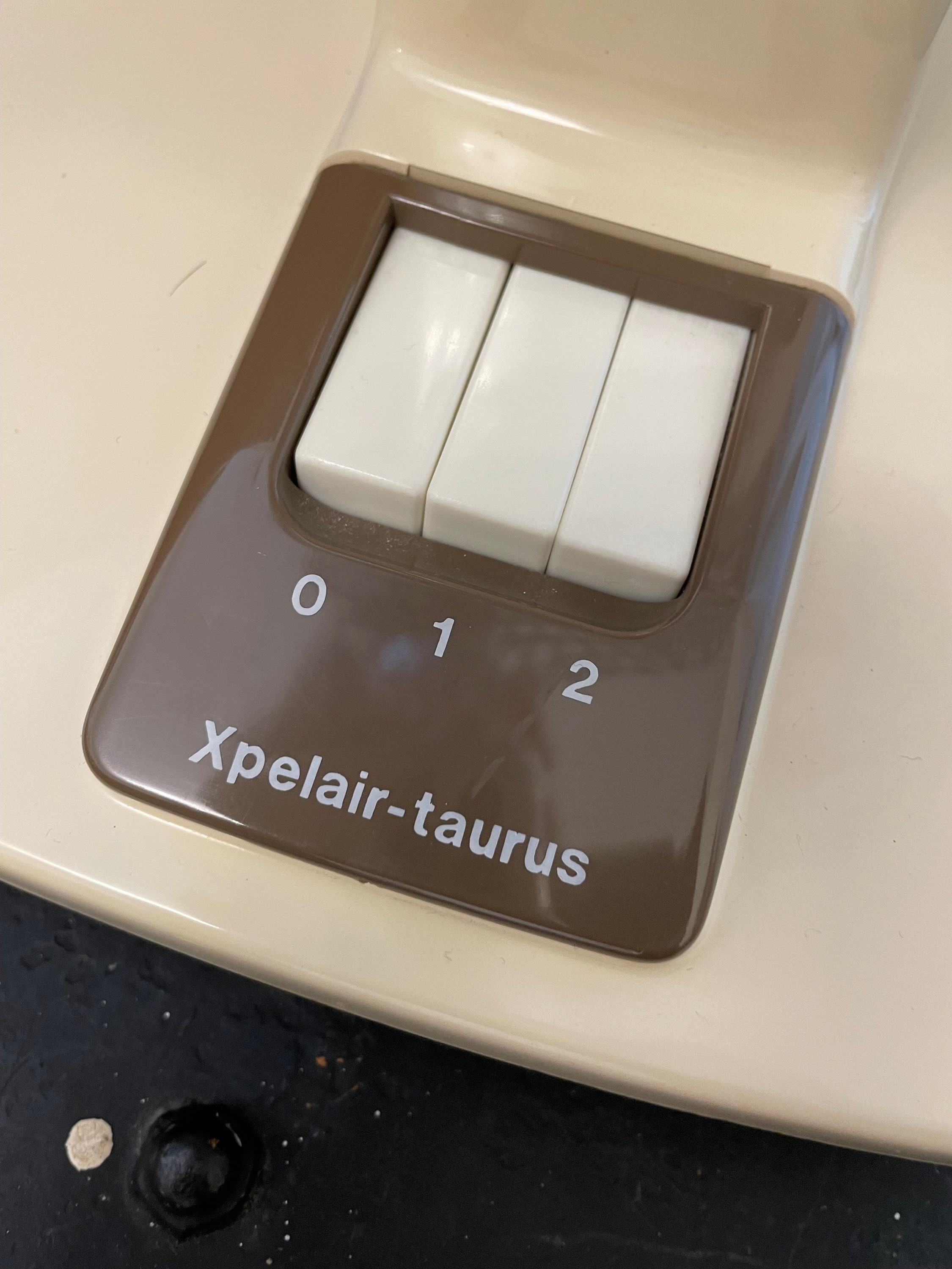 Vintage Desk Fan Rare Find Early 70s Xpelair-taurus Retro Room Fan ...