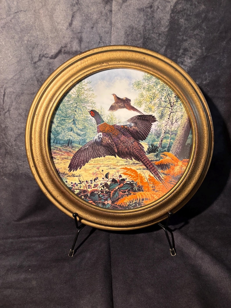 Vintage Royal Grafton Pheasant Plate – Braithwaite Game Bird Art, Gold ...