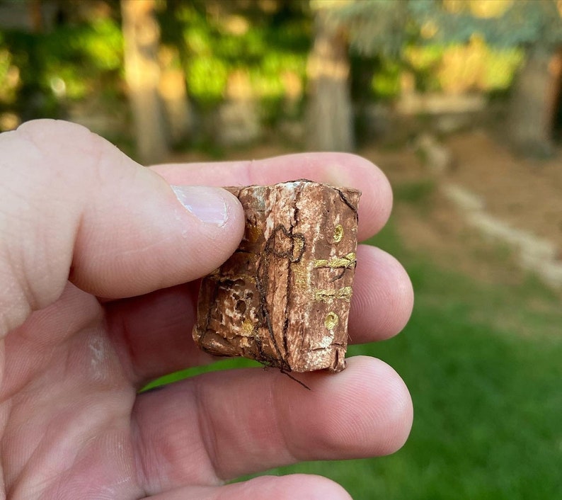 Tales From the Crypt - Crypt Keeper Action Figure - Etsy