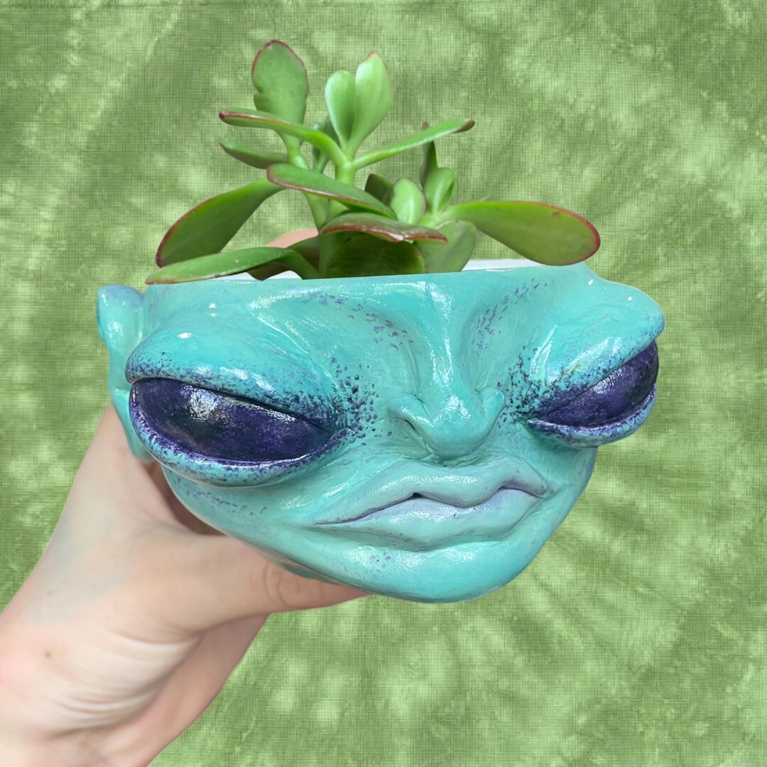Small Clay Planter | Weird Ugly Alien Face Pot | Hand Sculpted - Etsy