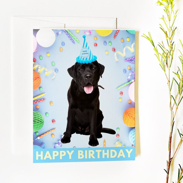Birthday Card From Black Lab - Etsy