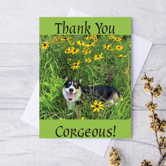 Cute Thank You Card Corgi Card Thank You Gorgeous Cute Dog - Etsy Canada