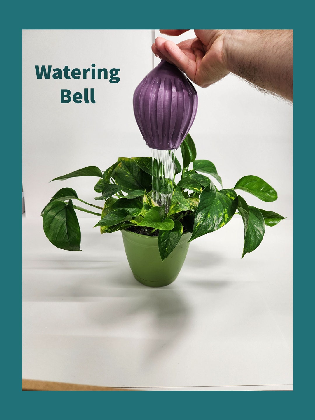 Watering Bell Thumb Controlled Plant Watering Pot Patterned - Etsy ...