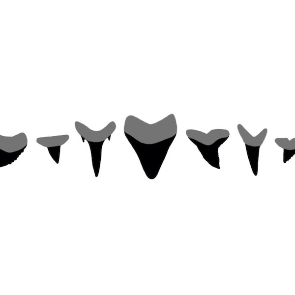 Shark Teeth Patterns - Etsy