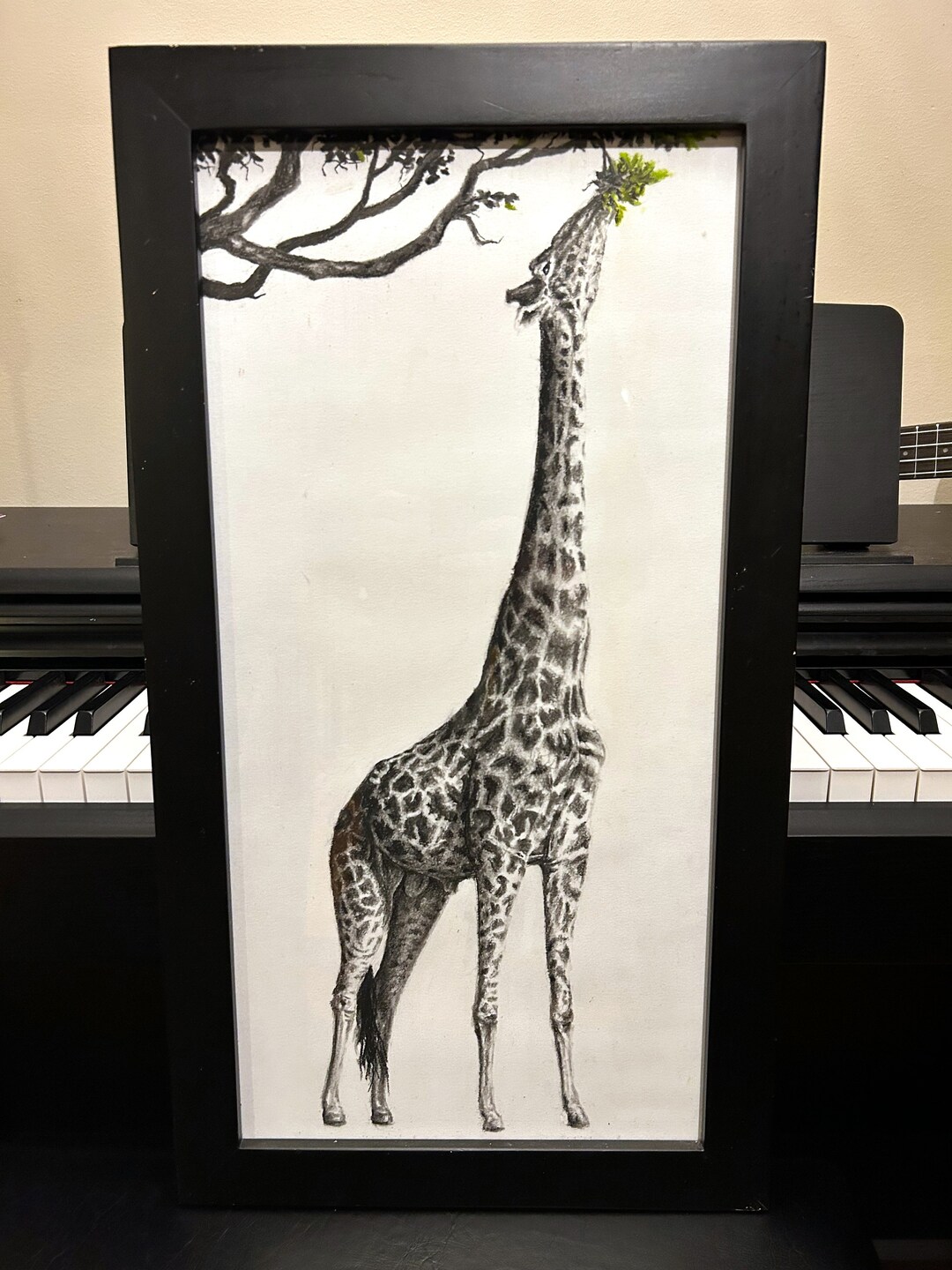 Giraffe and His Acacia; Original Charcoal and Pastel - Etsy
