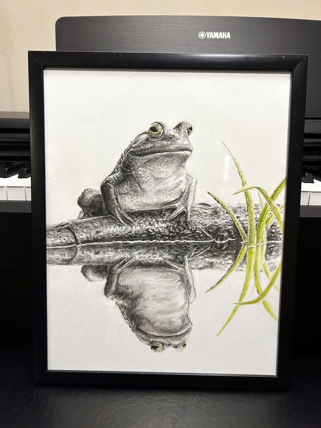 Bullfrog Poster. Charcoal and Pastel - Etsy