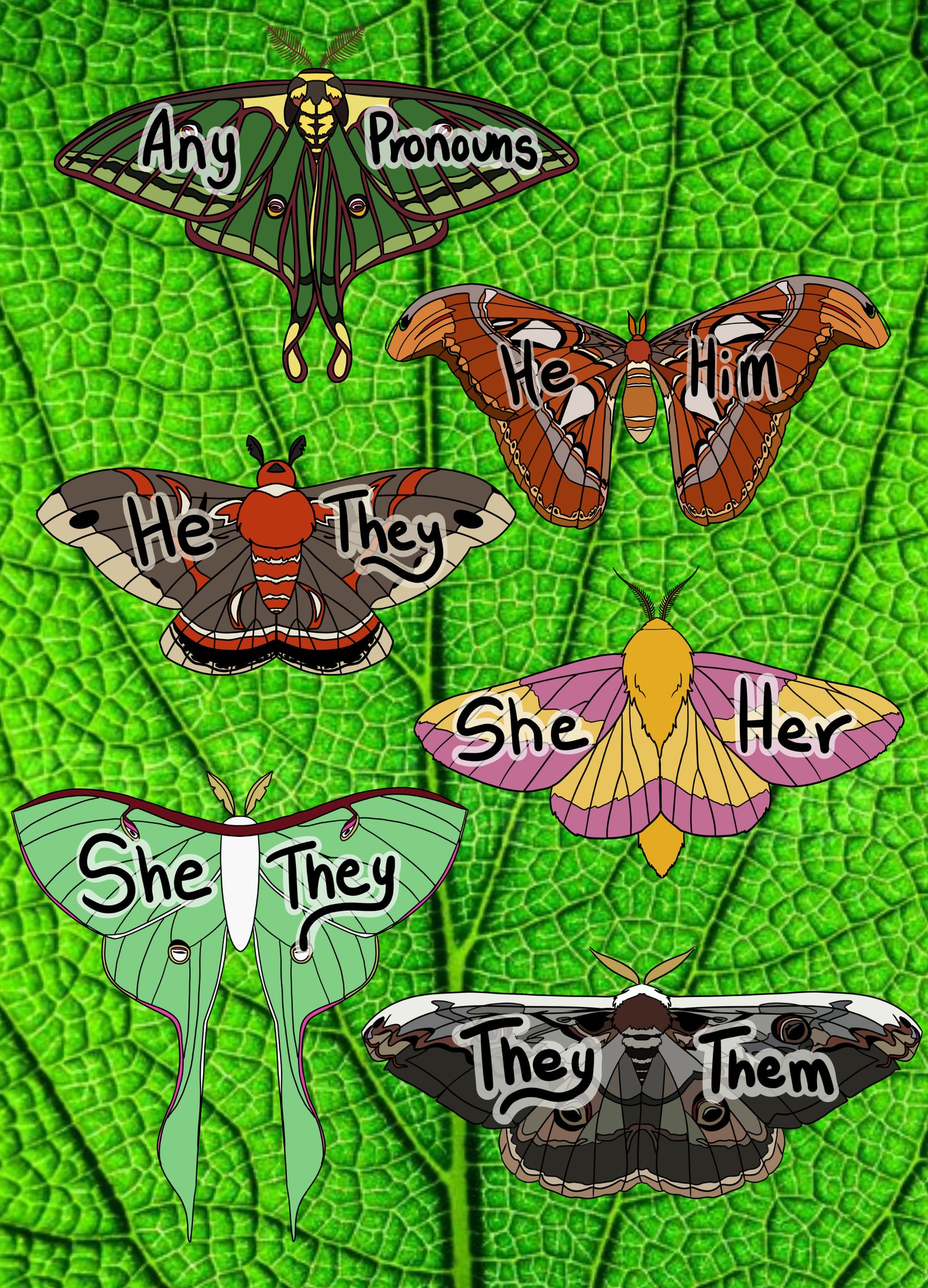 Moth Pronoun 2" Acrylic Pins - Etsy