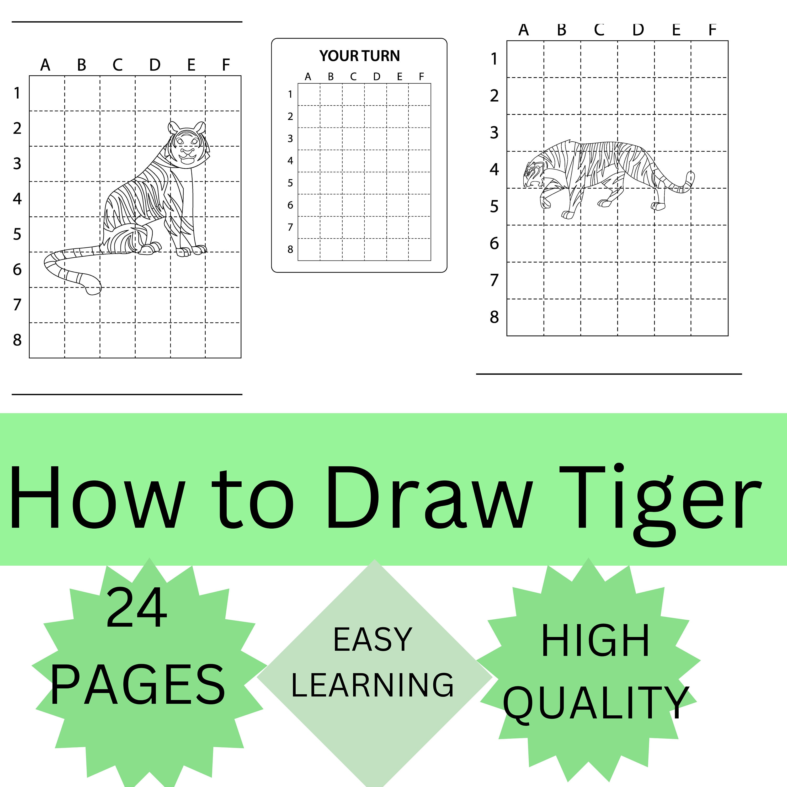 Step by Step How to Draw Tiger for Kids. - Etsy