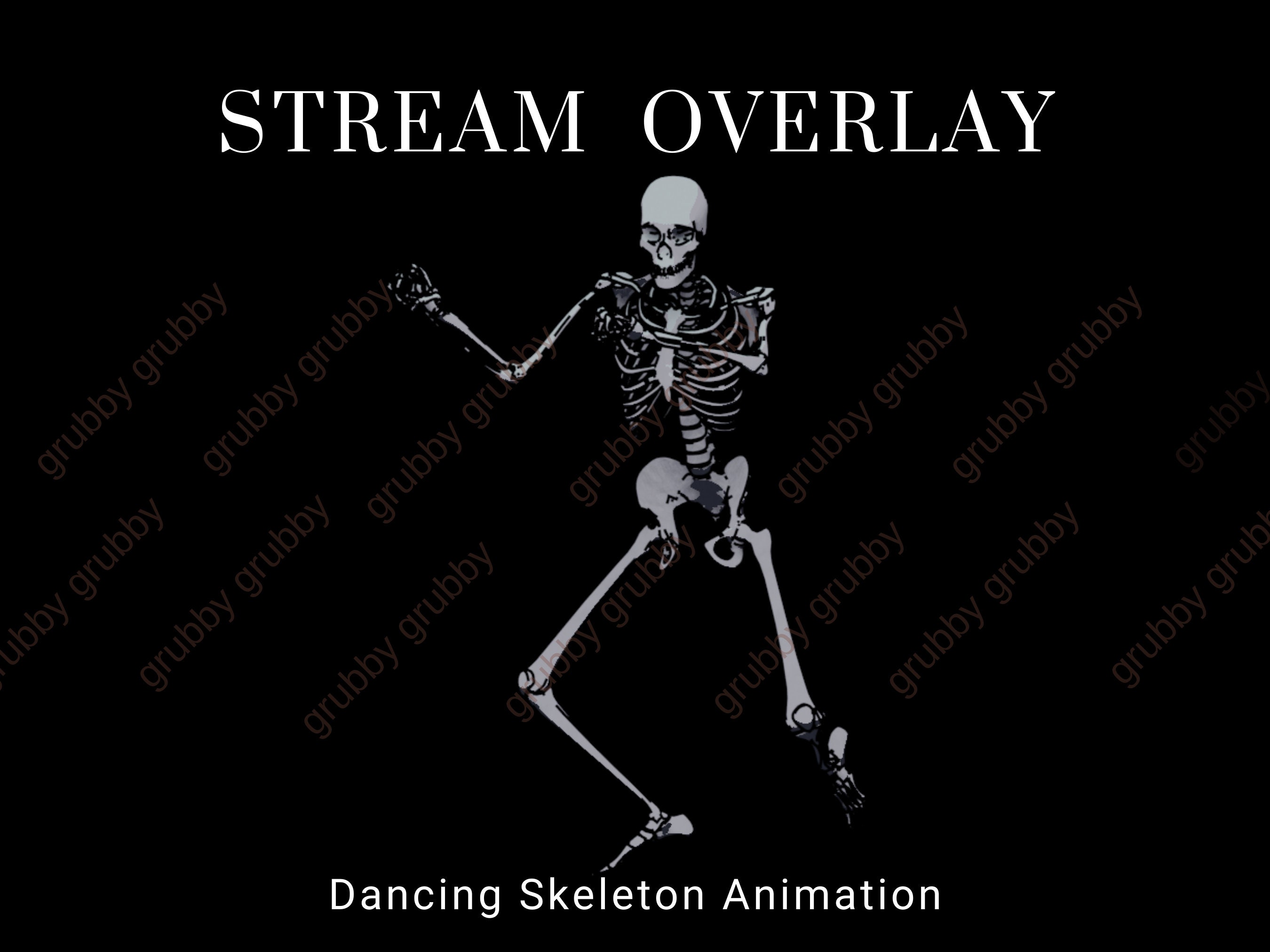 Animated Skeletal System