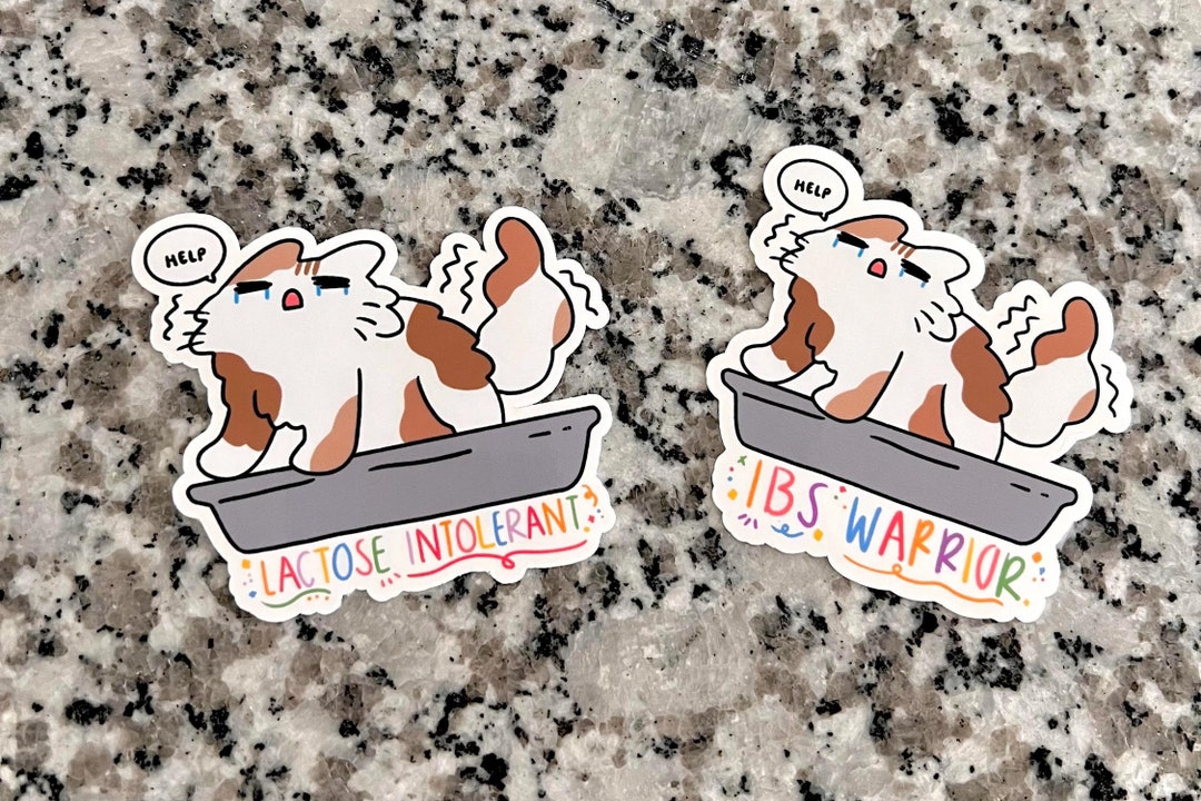 IBS Warrior Cat Sticker: Funny Laptop Decal - Etsy