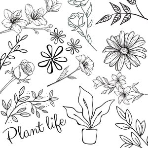 Plant Life Colouring Page - Etsy