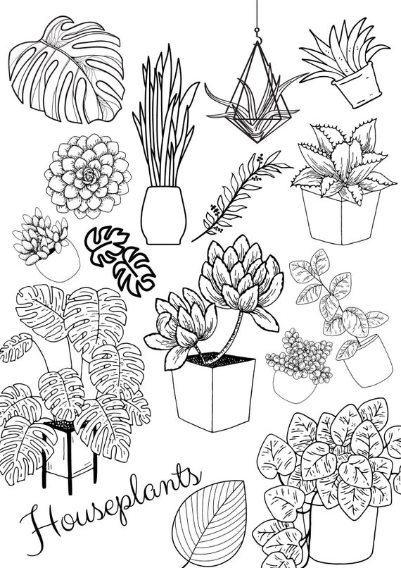 Houseplants Colouring Page | Etsy