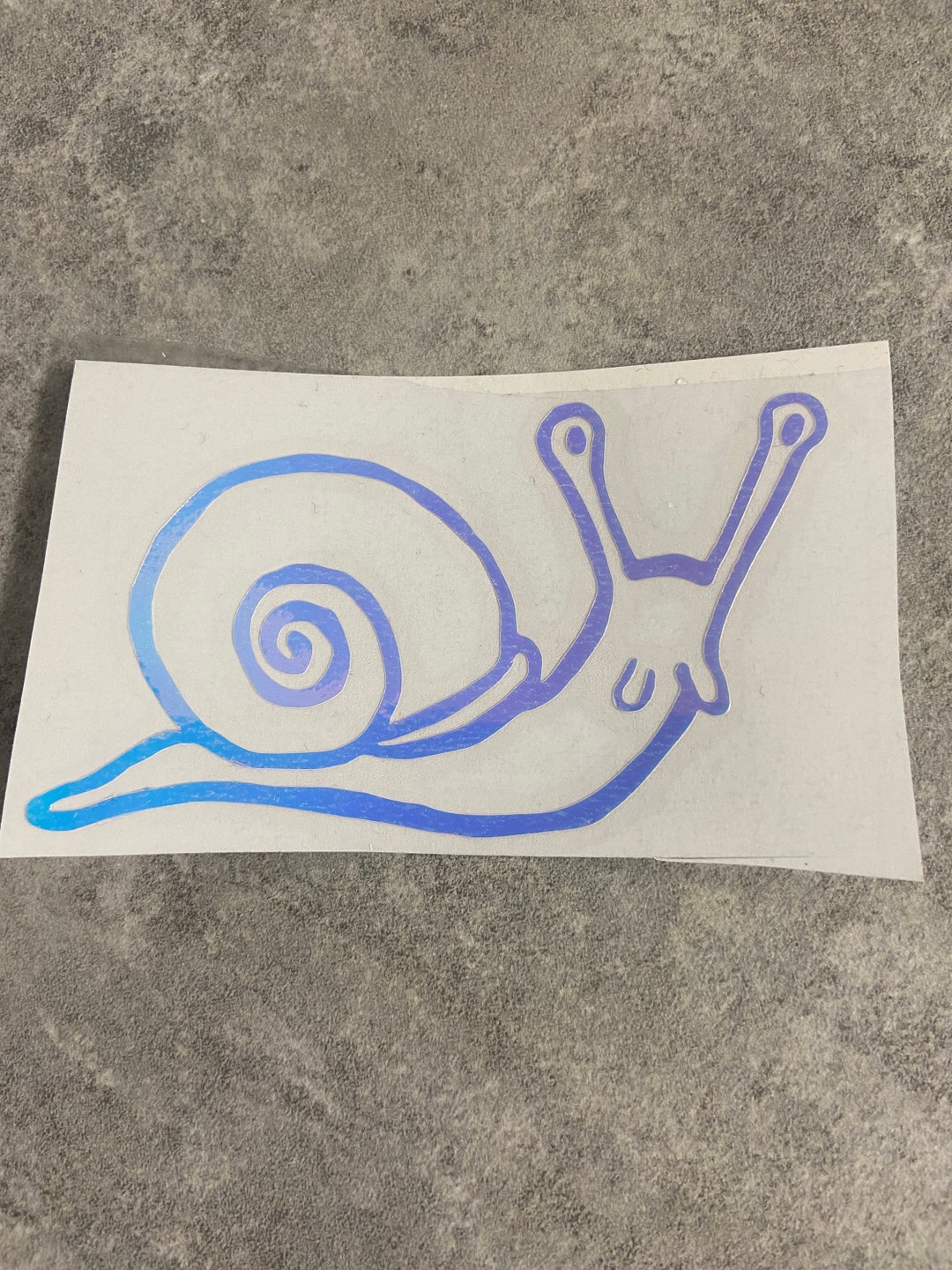 Cute Snail Decal - Etsy