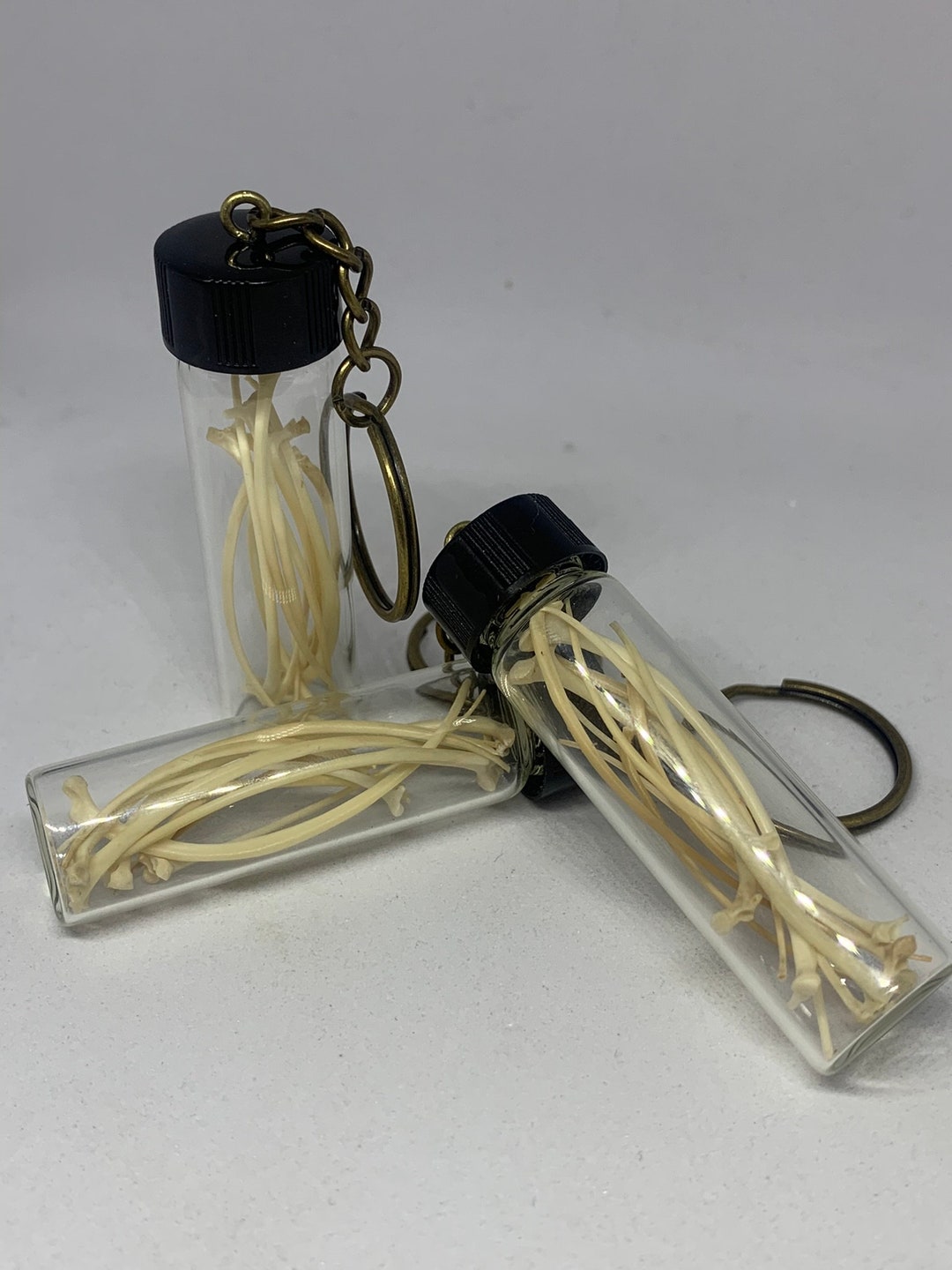 Rattlesnake Bone Keychain(large Bones) - Etsy