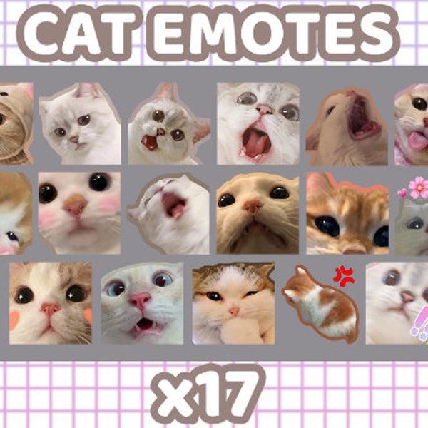 Discord Cat Overlays - Etsy