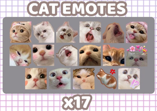 Kawaii Cat Emotes: Funny Emojis for Twitch and Discord (17 PNG) - Etsy