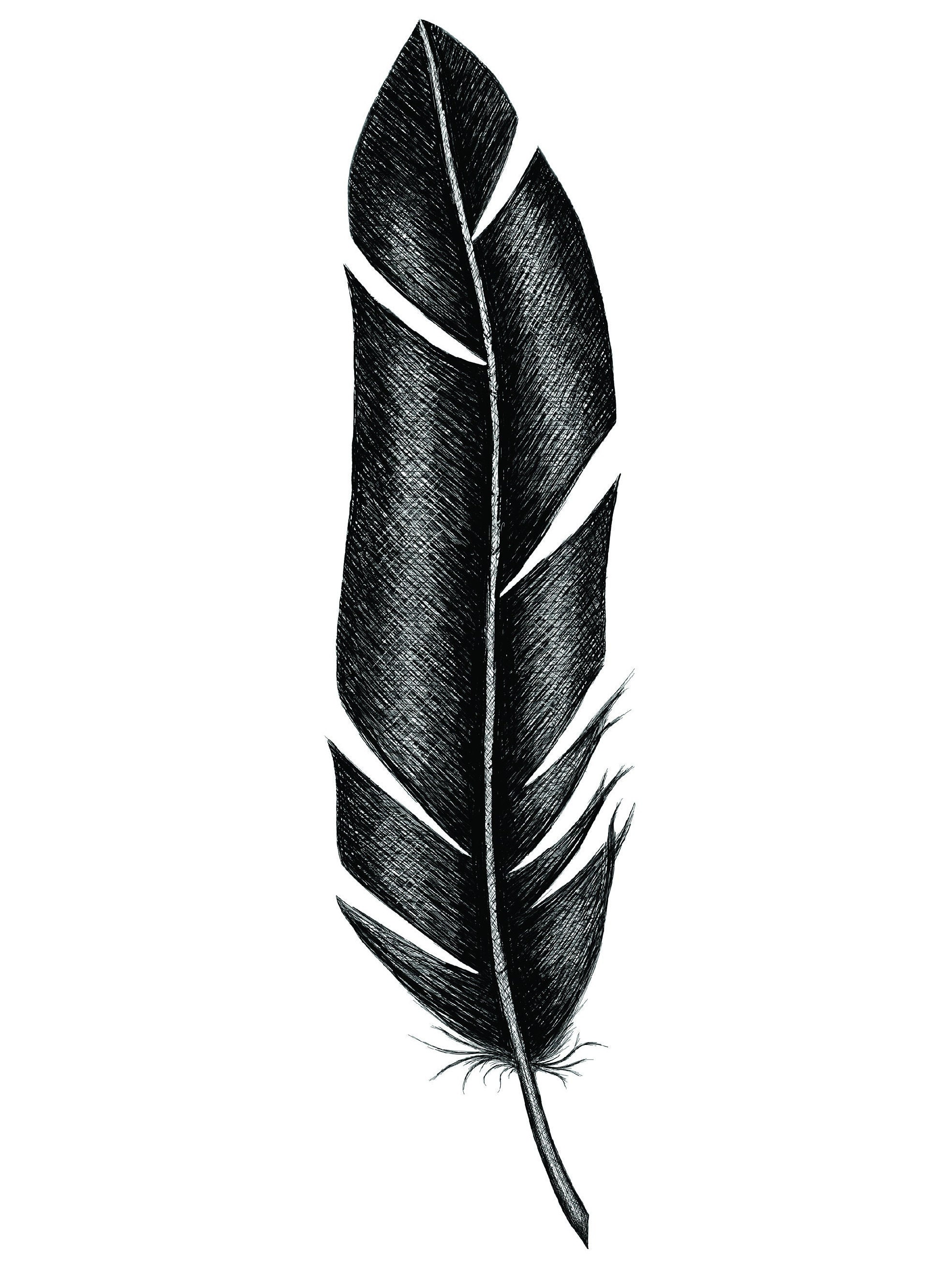 Printable Feather, Hand-drawn, Original Art, Wall Art, Print, Boho ...