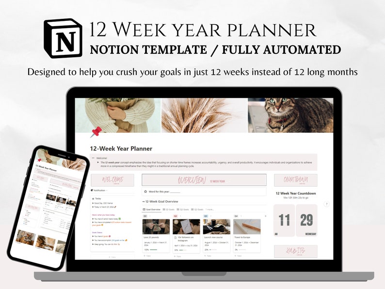 12 Week Year Notion Template, Goal Planner Notion Dashboard, Goal ...
