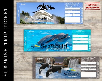 Seaworld Ticket Template - Etsy