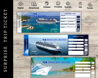 Princess Cruise Gift - Etsy