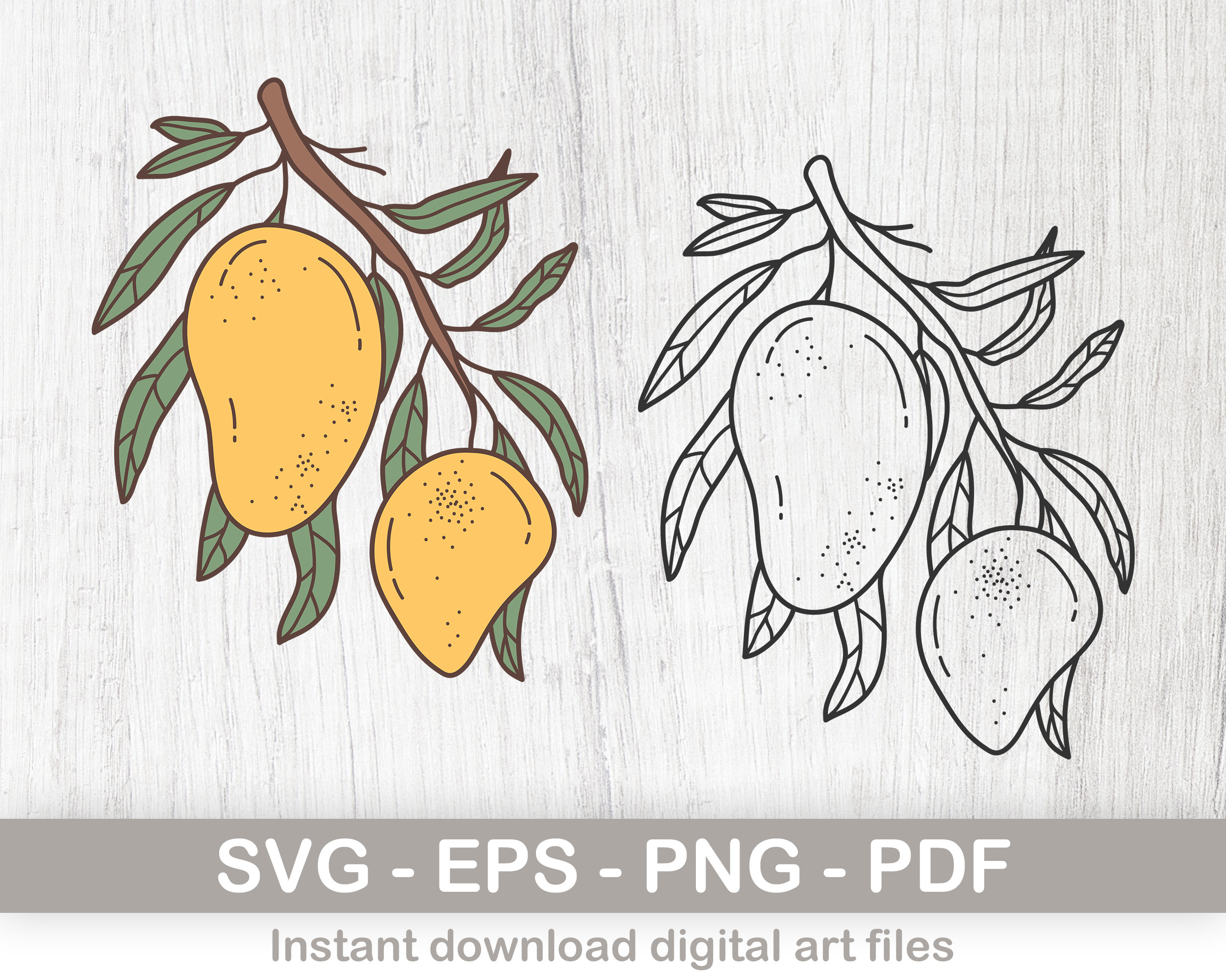 Mango Instant Digital Download Clipart, Mango Svg Files, Png, Pdf, and ...