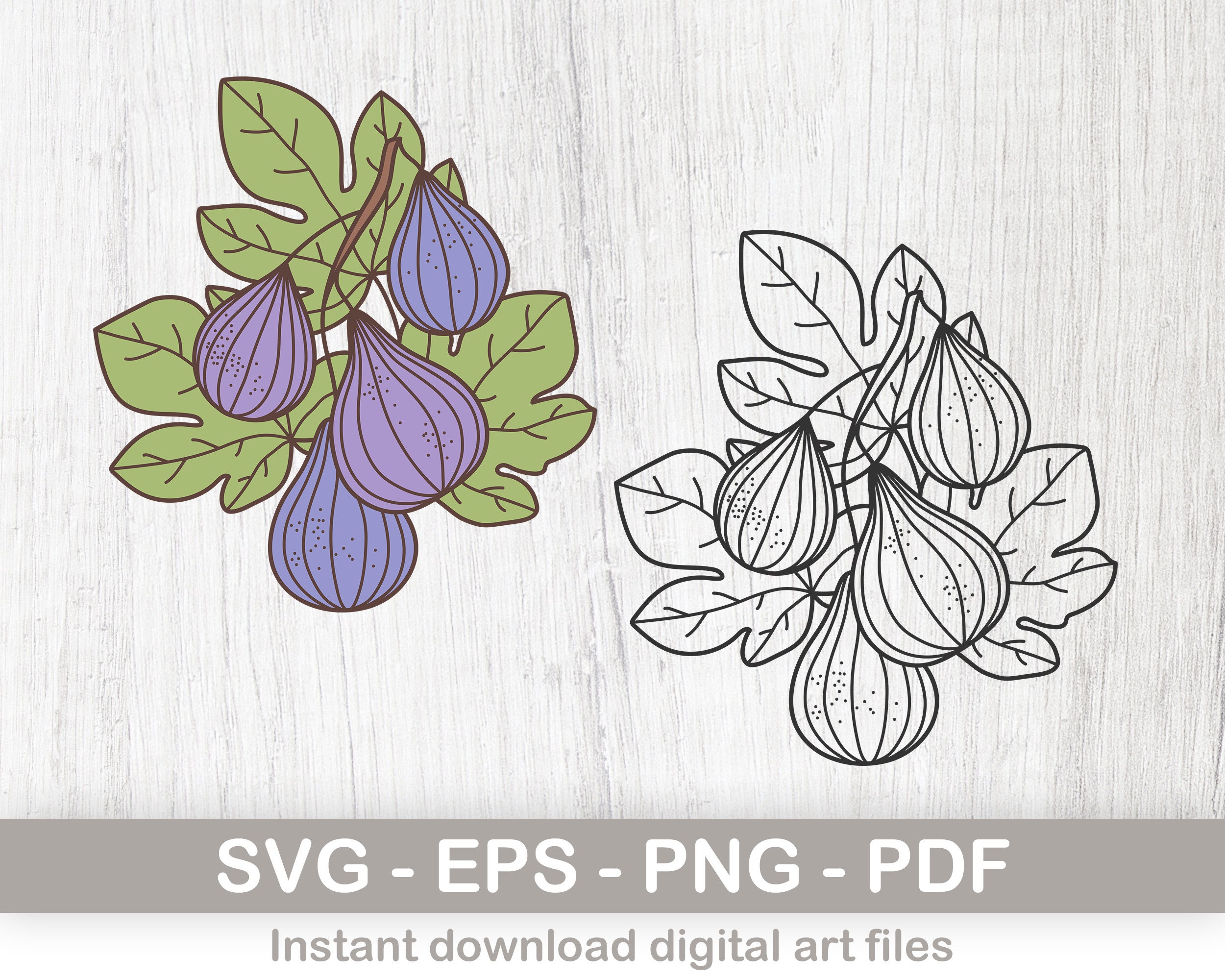 Figs Instant Digital Download Clipart, Fig Branch Svg, Png, Pdf, and ...