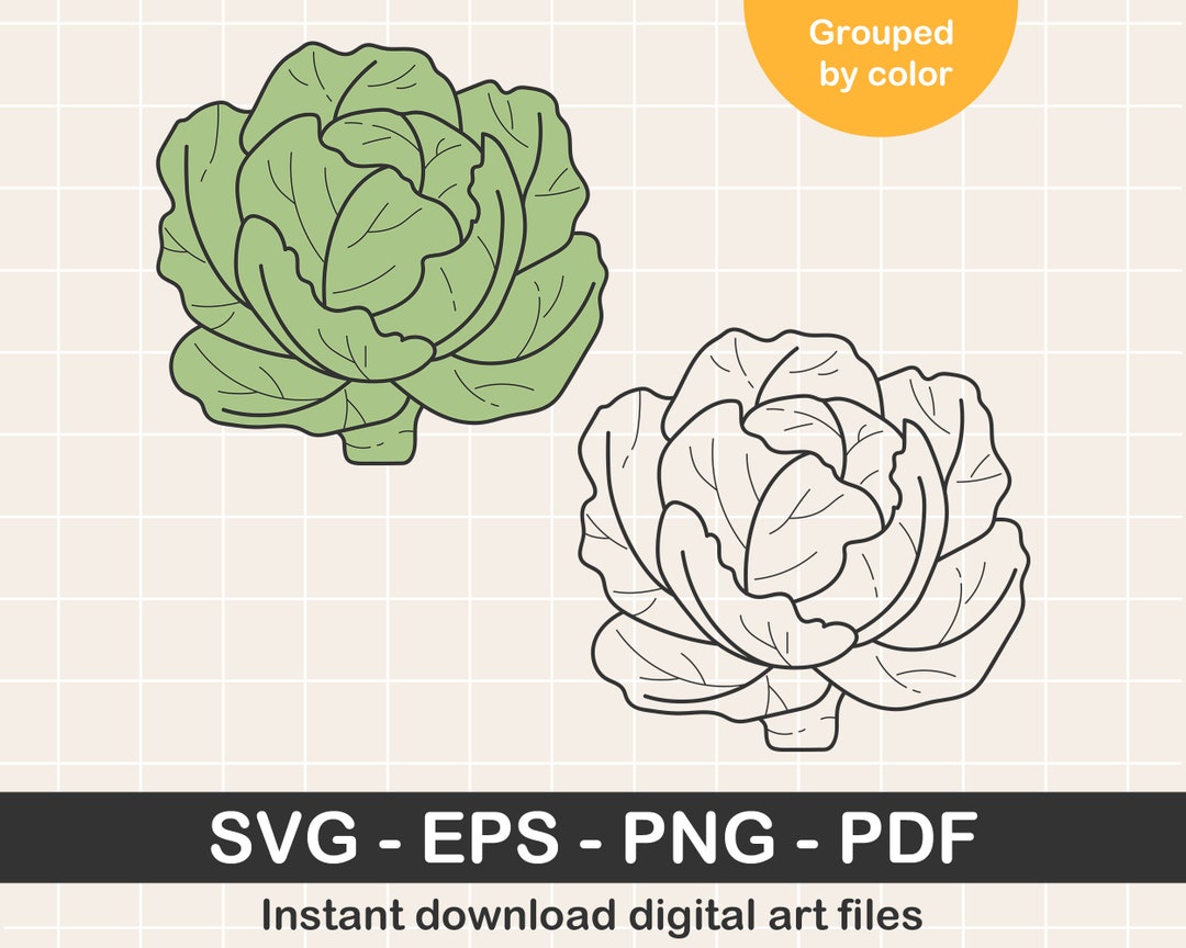 Cabbage Svg File. Instant Download Png, Pdf, Eps. Original Digital ...