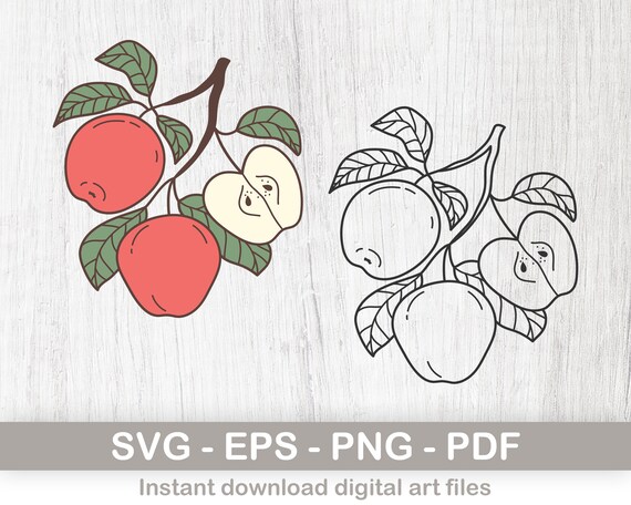 Apples Instant Digital Download Clipart Apples Svg Files - Etsy