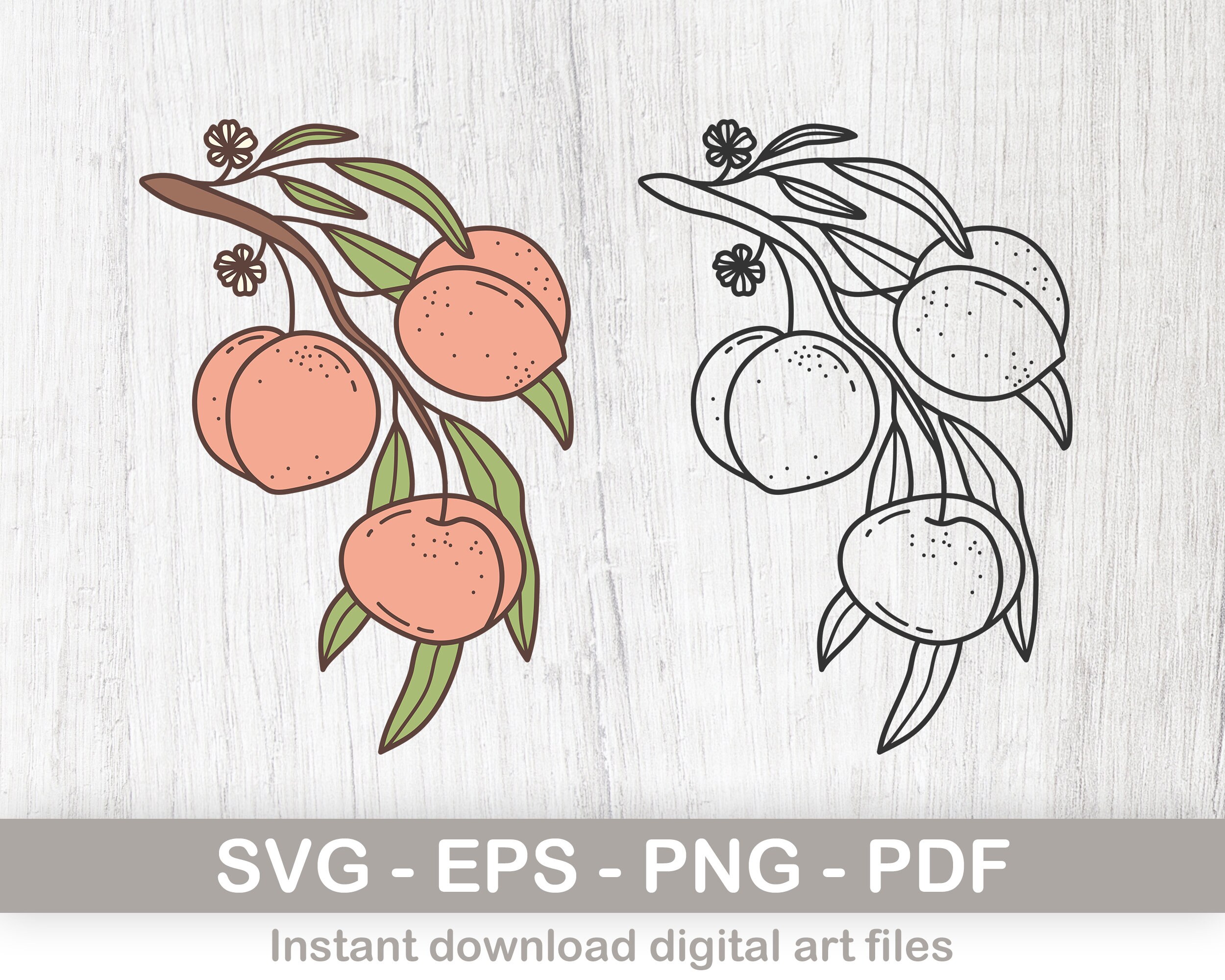 Peaches Instant Digital Download Clipart, Peaches Svg, Png, Pdf, and ...