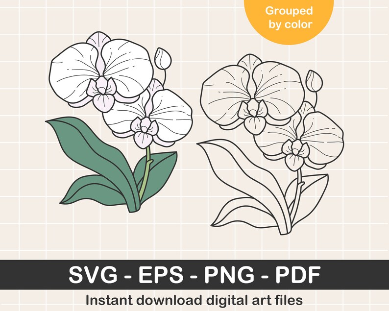 Orchid Flower Svg File. Instant Download Png, Pdf, Eps. Original ...